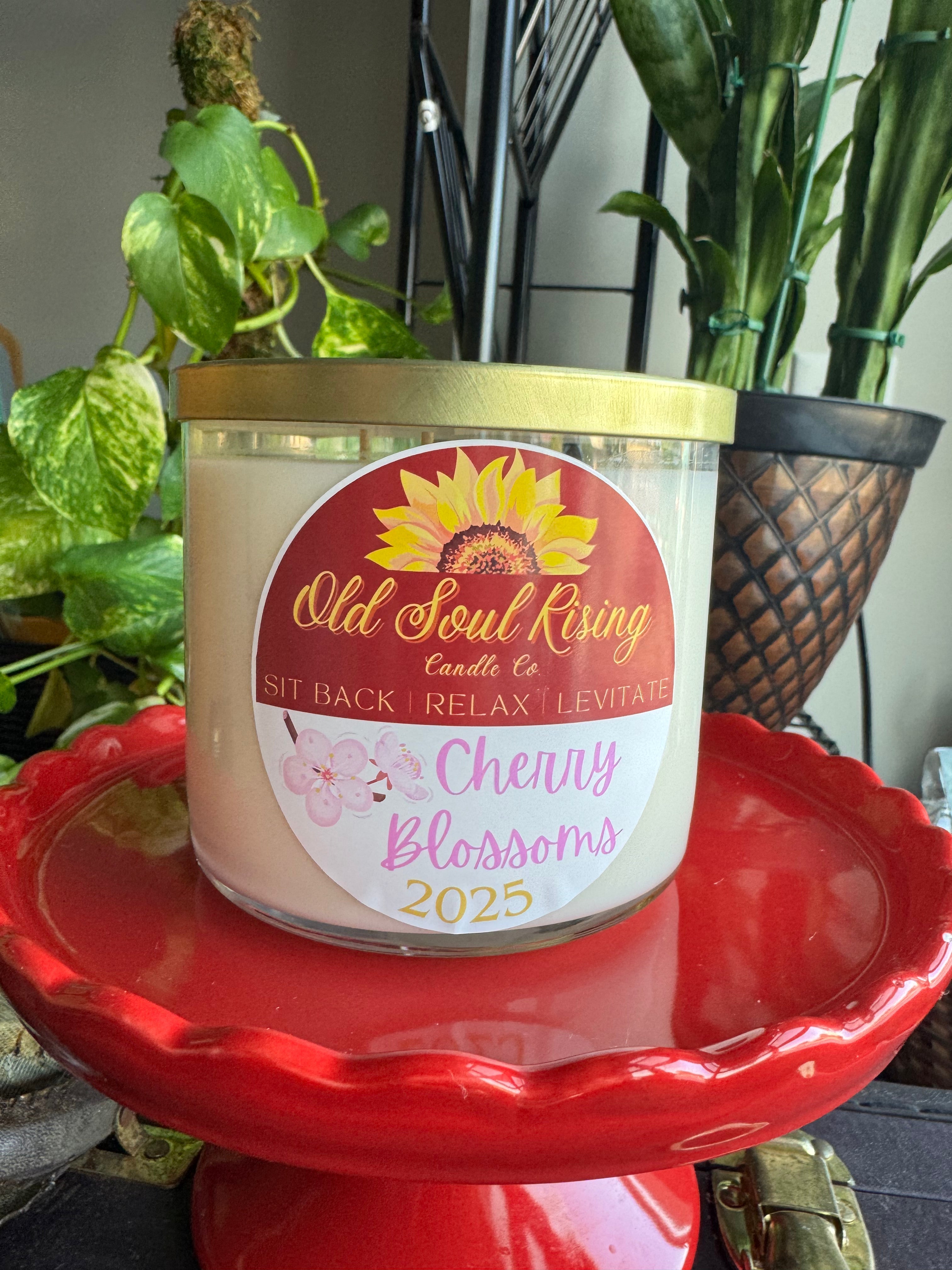 17 Oz – Old Soul Rising